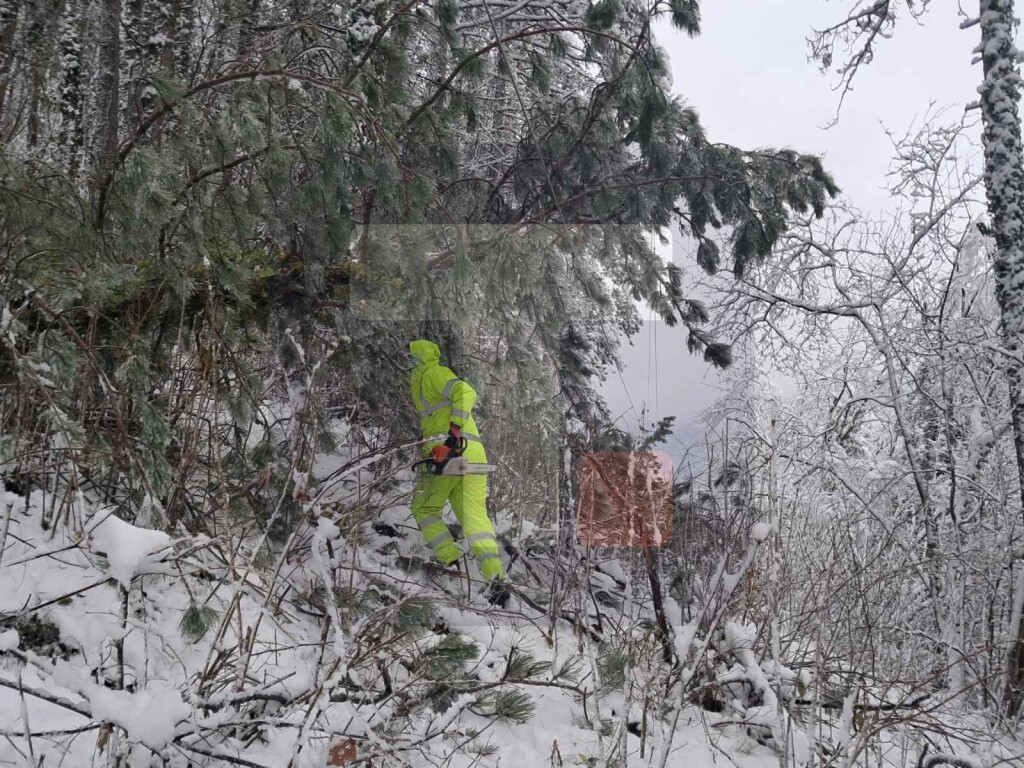 Elektrodistribucija: Do kraja dana popravke na mreži u okolini Loznice ...